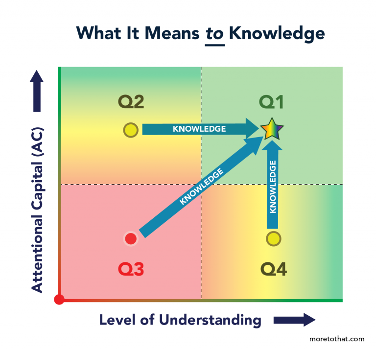 From Ignorance to Wisdom: A Framework for Knowledge