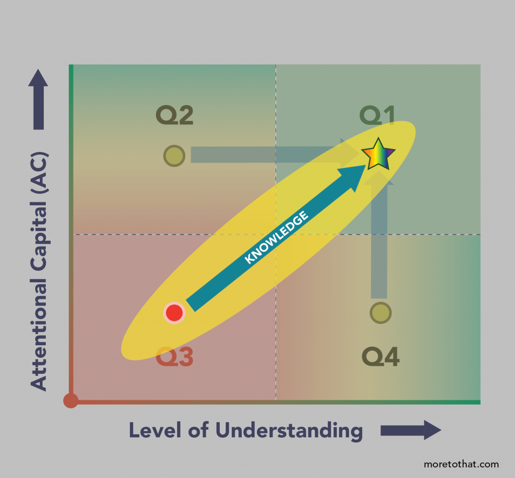 From Ignorance to Wisdom: A Framework for Knowledge