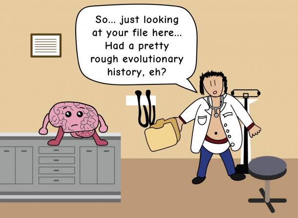 How to Calm the Anxious Brain