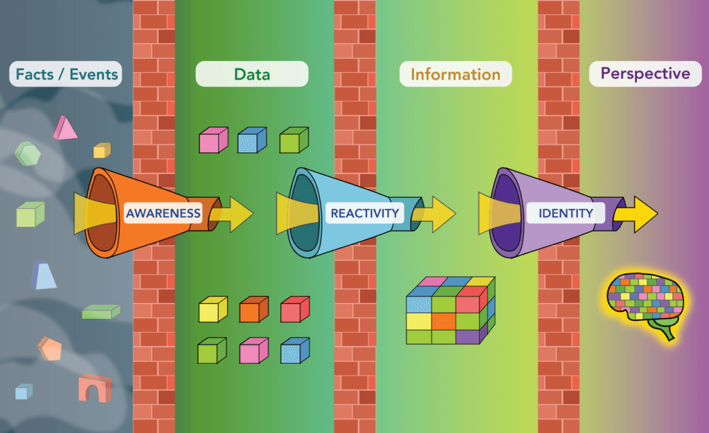 The Information Lifecycle: How Three Filters Shape the Mind